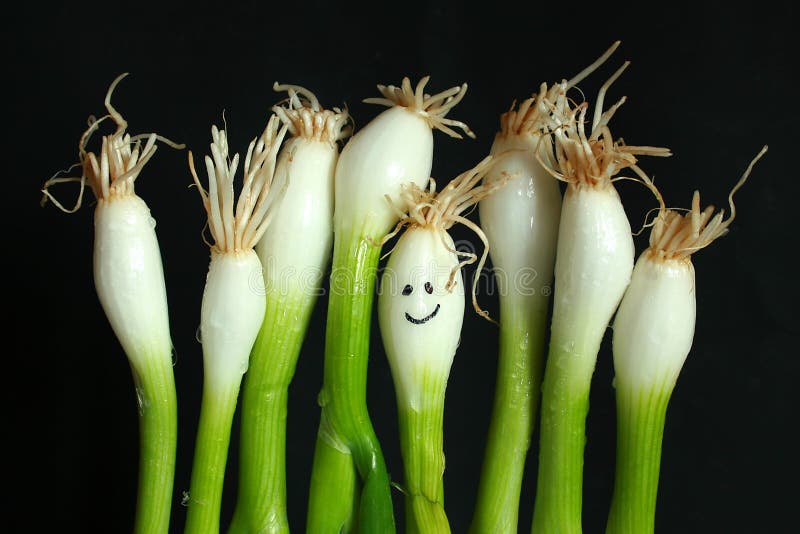 Spring Onions stock image. Image of surface, spring, produce - 17465575