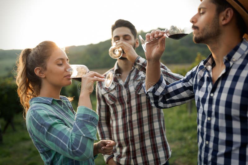 People Tasting Wine in Vineyard Stock Photo - Image of people ...