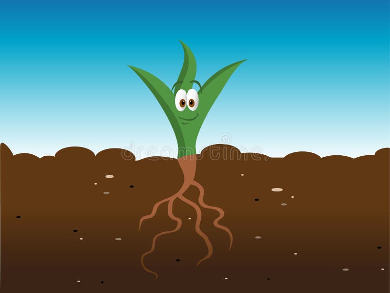 Happy plant stock vector. Illustration of plant, green - 33134181