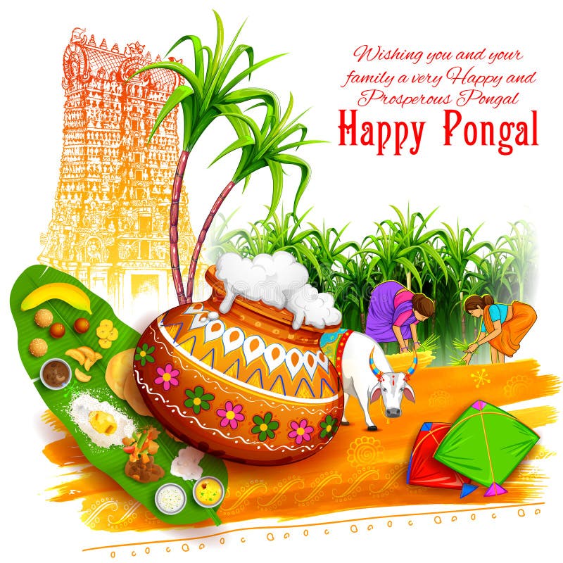 Pongal Festival Stock Illustrations – 7,079 Pongal Festival Stock ...