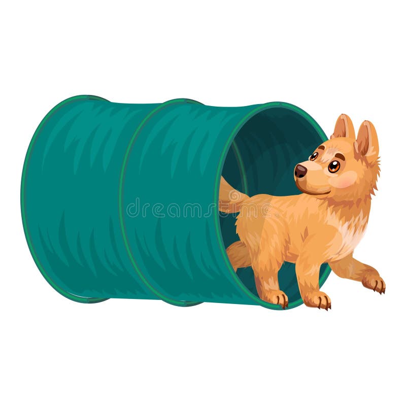 Happy Puppy Dog Emerging from Agility Tunnel Training Obstacle Stock ...