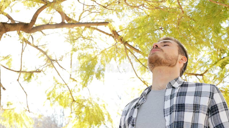 Happy Relaxed Man Breathing Fresh Air in a Park Stock Footage - Video ...