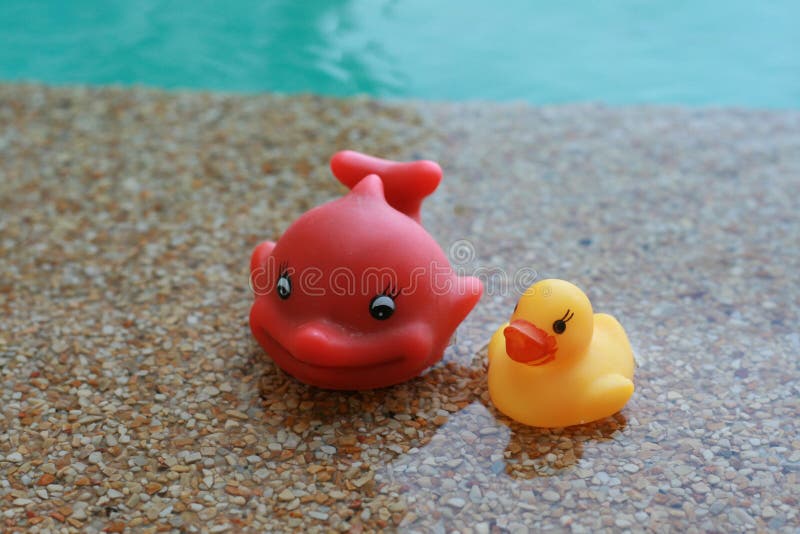 Happy Rubber Fish and Ducky Floating Toy in Daylight Stock Image ...