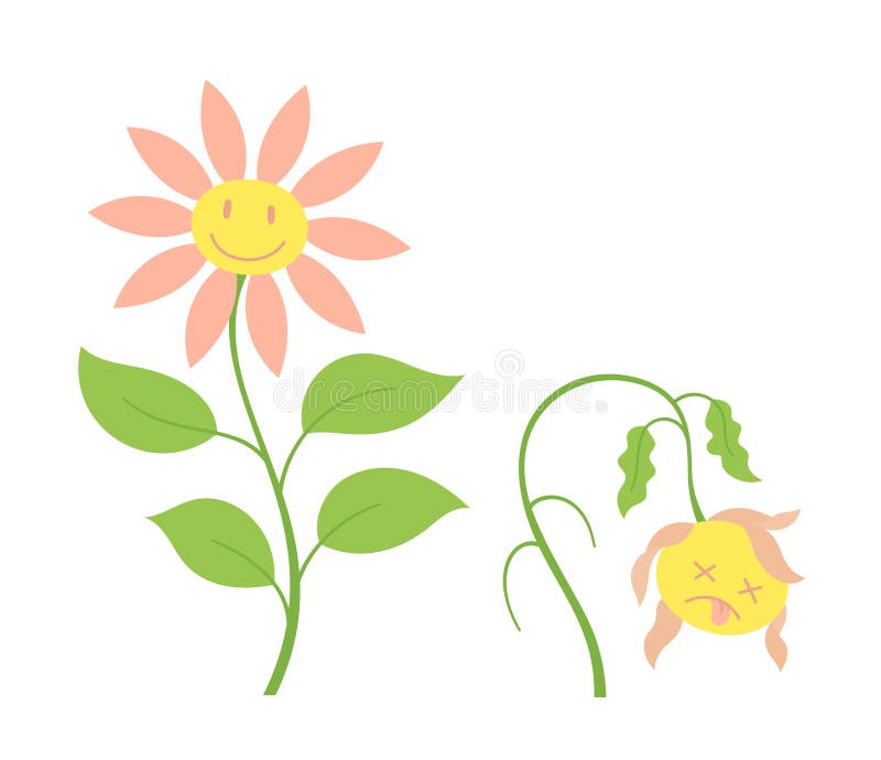 Happy and Sad Cartoon Flower Character. Include Wilted and Dried Plants ...