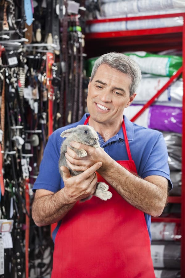 Happy Salesman Looking at Rabbit in Pet Store Stock Photo - Image of ...