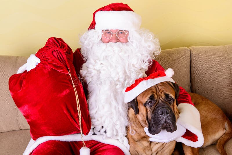 Happy Santa Claus with dog stock image. Image of happy - 46774233