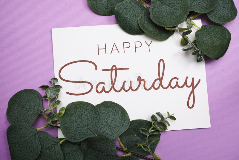 Happy Saturday Text Decoration with Eucalyptus Leaves on Purple ...