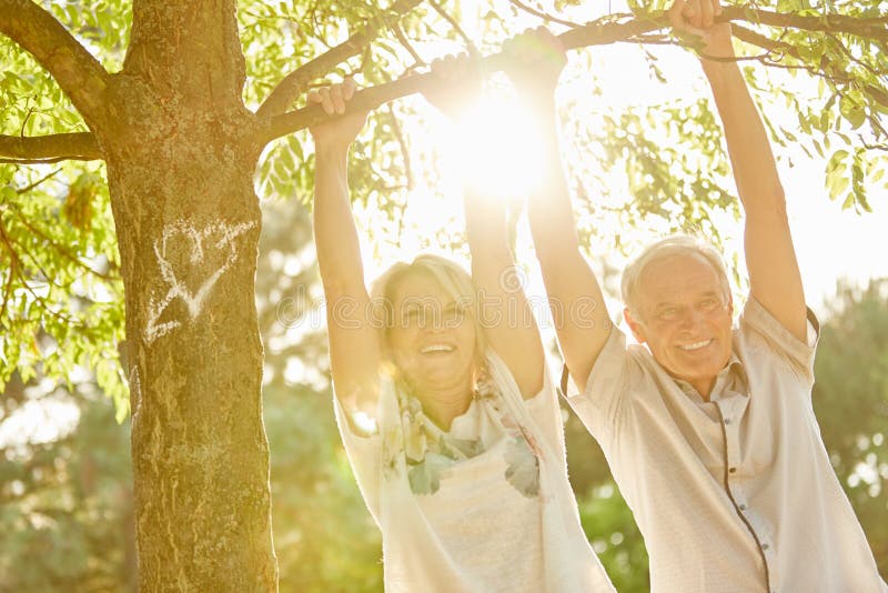 Happy Senior Couple Under a Tree Stock Image - Image of autumn, leisure ...