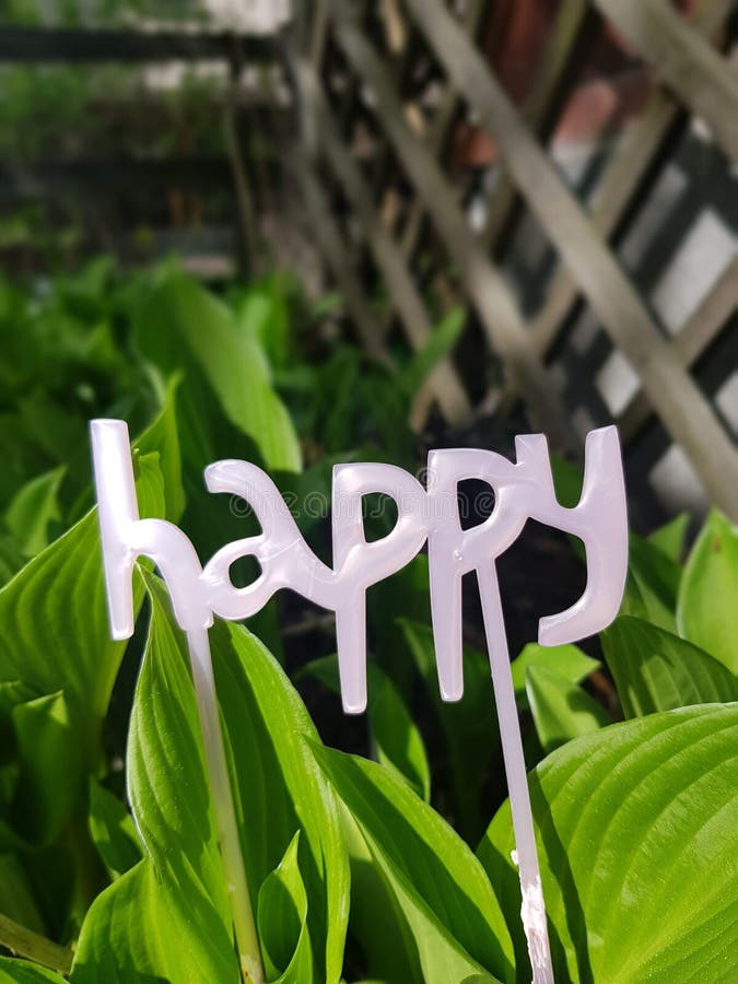 Happy sign in greenery stock photo. Image of grass, lawn - 148807492