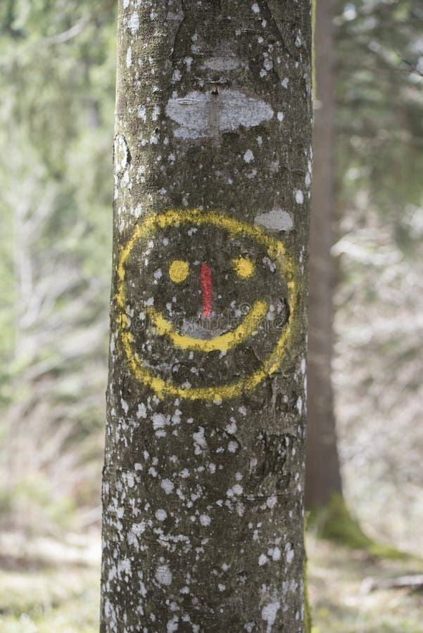 Happy Smile on a Tree Trunk Stock Image - Image of earth, nature: 90175719