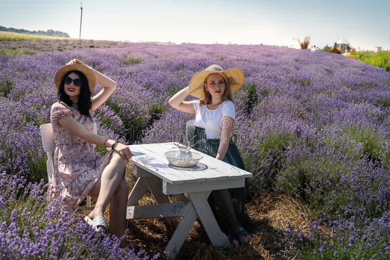 Happy and Smiling Friends in Sunlight Lavender Field Stock Photo ...