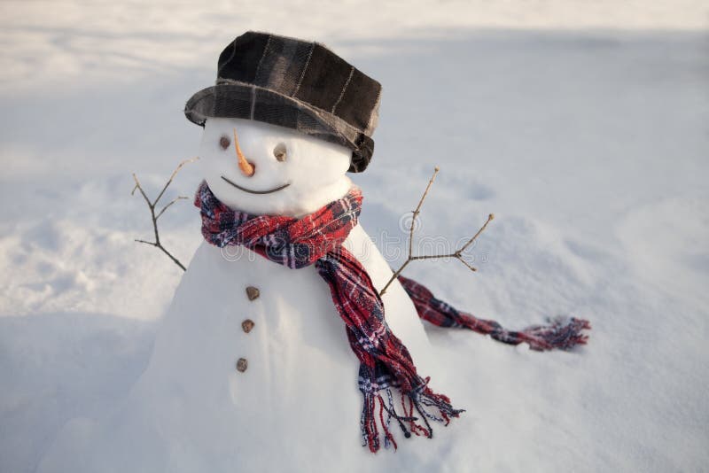 Happy snowman in sun stock image. Image of wonderland - 57173065