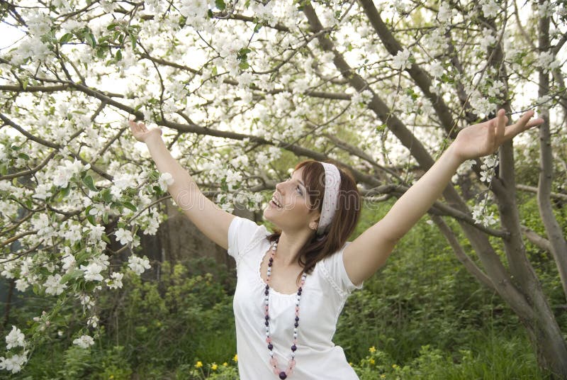 Happy spring stock photo. Image of apple, young, trees - 14072656