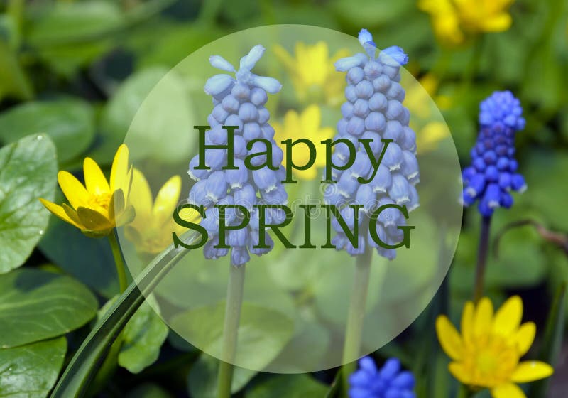 Happy Spring.Bright Spring Flowers Background with Text.Springtime ...