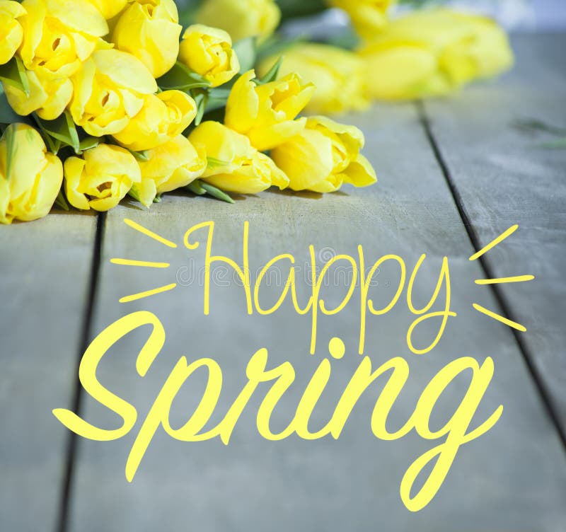 Happy Spring Card stock image. Image of forest, tulip - 67199029