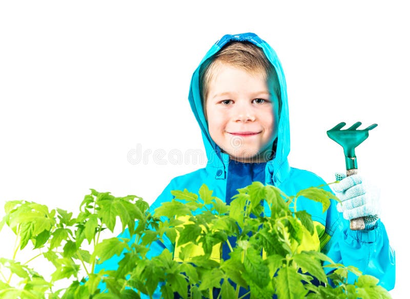 Happy spring gardening boy stock photo. Image of gardening - 52851288
