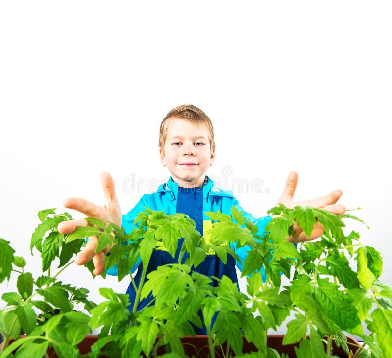 Happy spring gardening boy stock image. Image of plant - 52851327
