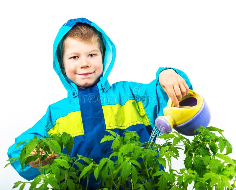 Happy spring gardening boy stock image. Image of germination - 52851463