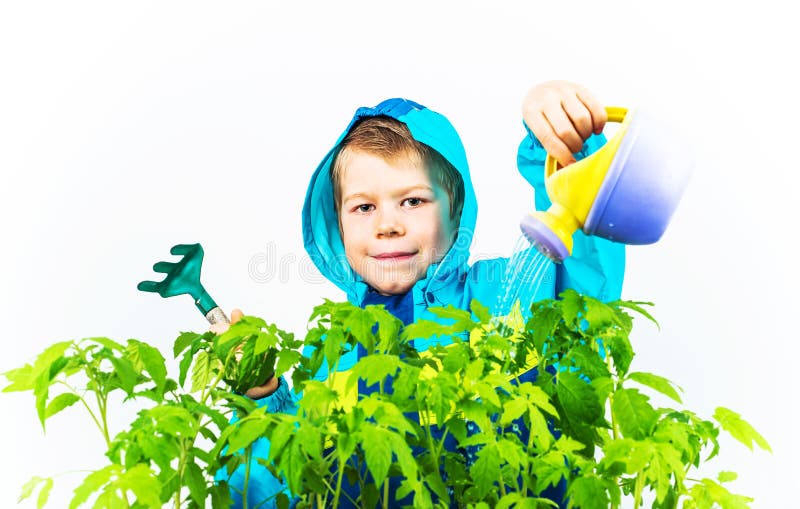 Happy spring gardening boy stock photo. Image of girl - 52851634