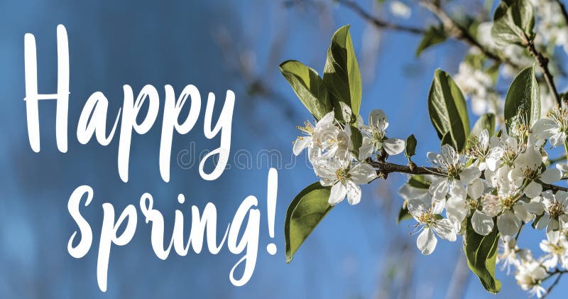 Springtime Label Design Fresh Blossoms Stock Photos - Free & Royalty ...