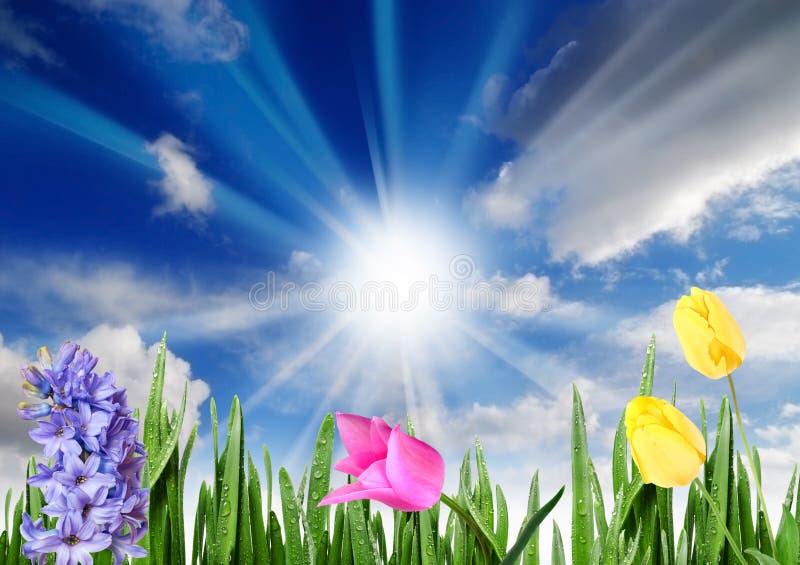 Happy spring morning stock image. Image of blue, clouds - 17829381