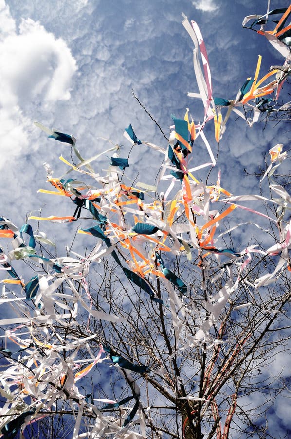 Happy spring Tree stock image. Image of group, leaves - 19187201
