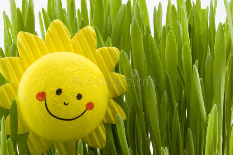 Happy sun stock image. Image of growing, blades, bright - 2166575