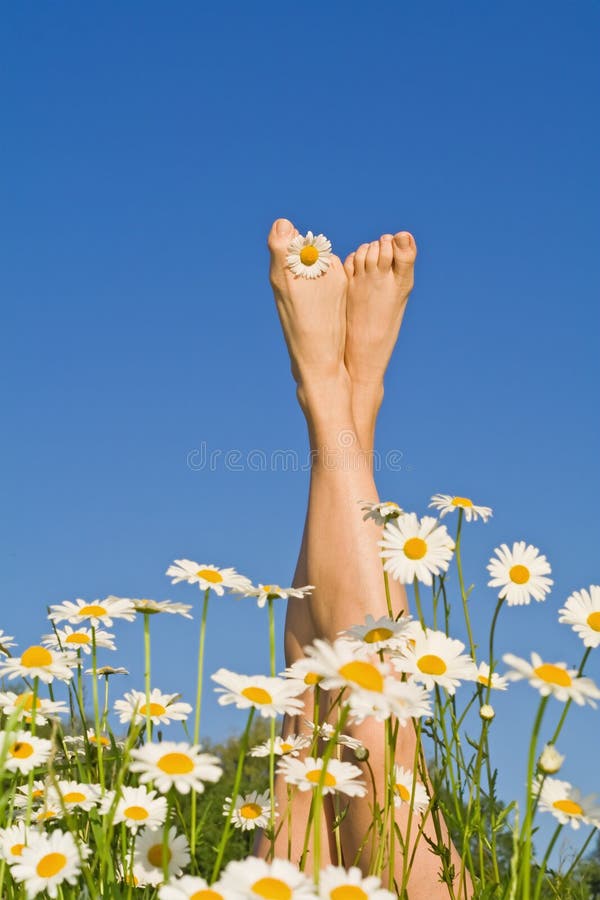Happy Sunny Legs with Flowers Stock Image - Image of dasiy, concept ...