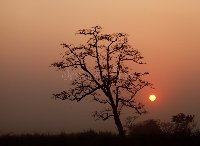 Sunset stock image. Image of light, design, background - 29910295