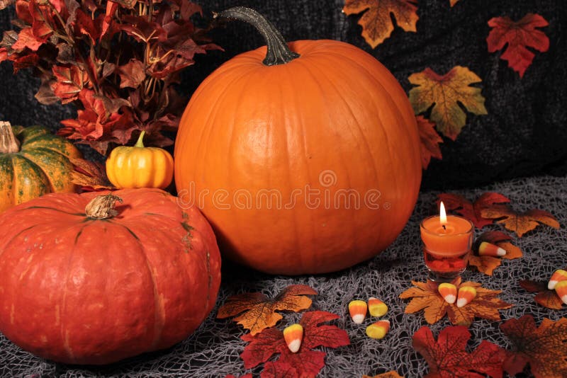 4,573 Fall Thanksgiving Textile Stock Photos - Free & Royalty-Free ...