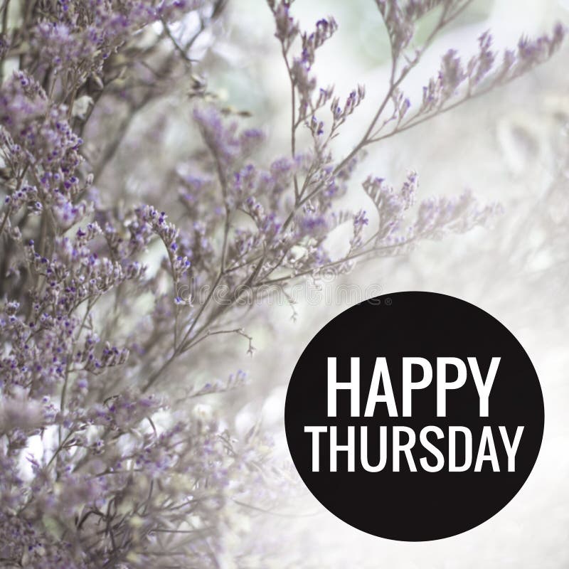 Happy Thursday Handwritten Floral Illustrations Decorated Design Stock ...