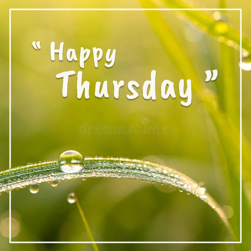 120 Happy Thursday Spring Stock Photos - Free & Royalty-Free Stock ...