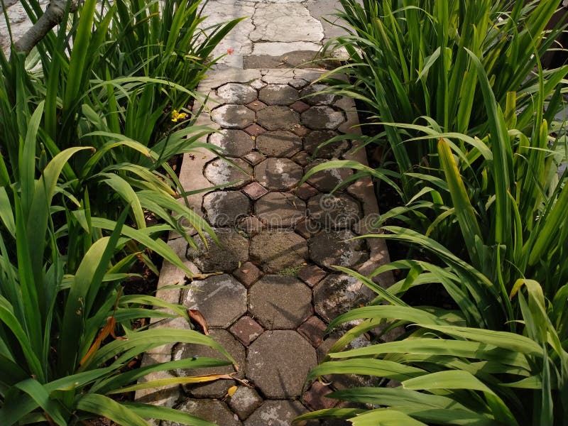 Beautiful Pedestrian Path between Green Park Stock Image - Image of ...