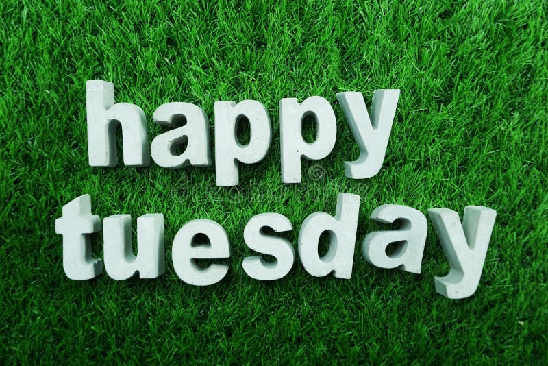 Happy Tuesday Alphabet Letters with Pink Flower Decoration on Purple ...