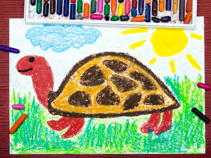 Cartoon Turtle Green Grass Stock Illustrations – 685 Cartoon Turtle ...