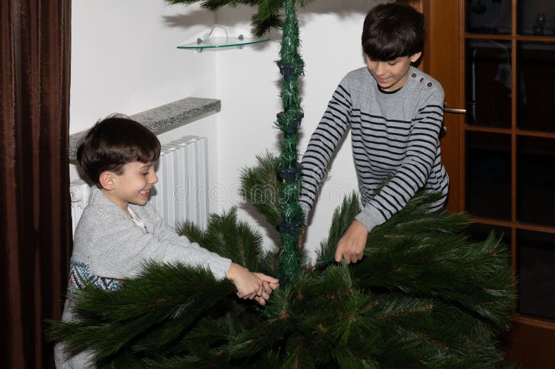 Happy Two Brothers Assembling Christmas Tree at Home Stock Photo ...