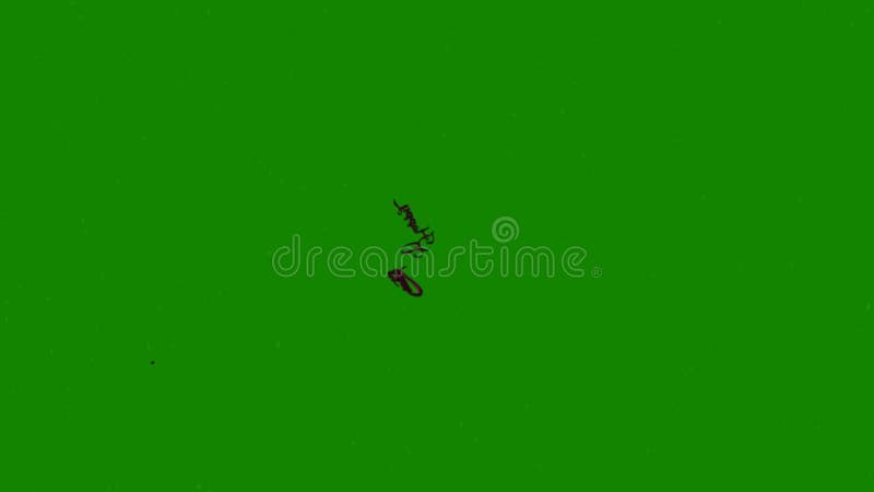 Happy Valentine Day Shatter Effect Green Screen Background Stock ...