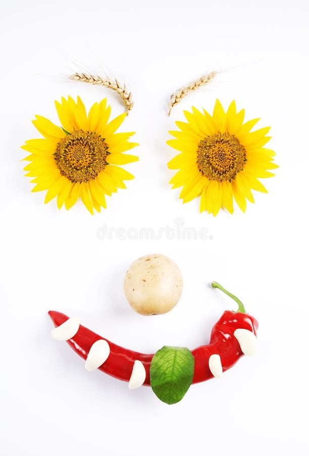 Happy Veggie Vegetable Smiling Vegetable Face Stock Photo - Image of ...