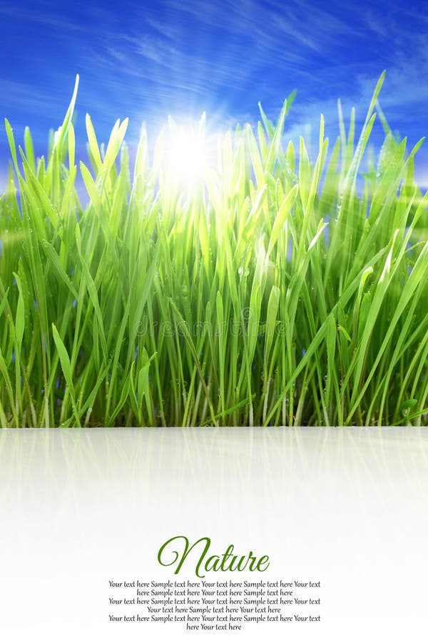 Happy sunny day with grass stock image. Image of garden - 37146965