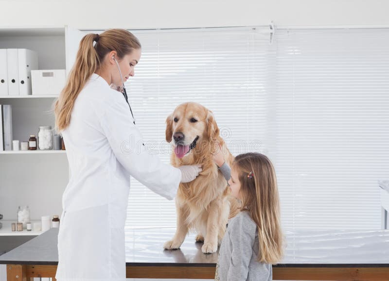 Happy Vet Checking Dog with Stethoscope Stock Photo - Image of ...