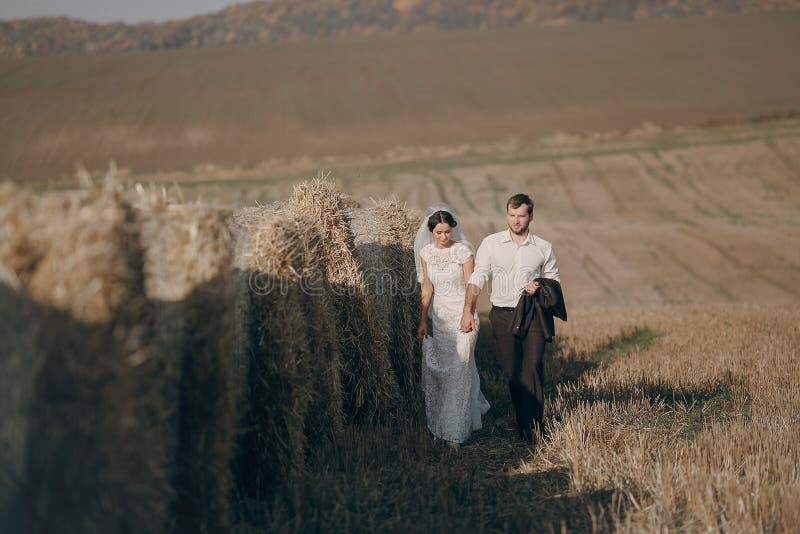Happy Wedding Couple in a Field Stock Photo - Image of face, cute: 52515730