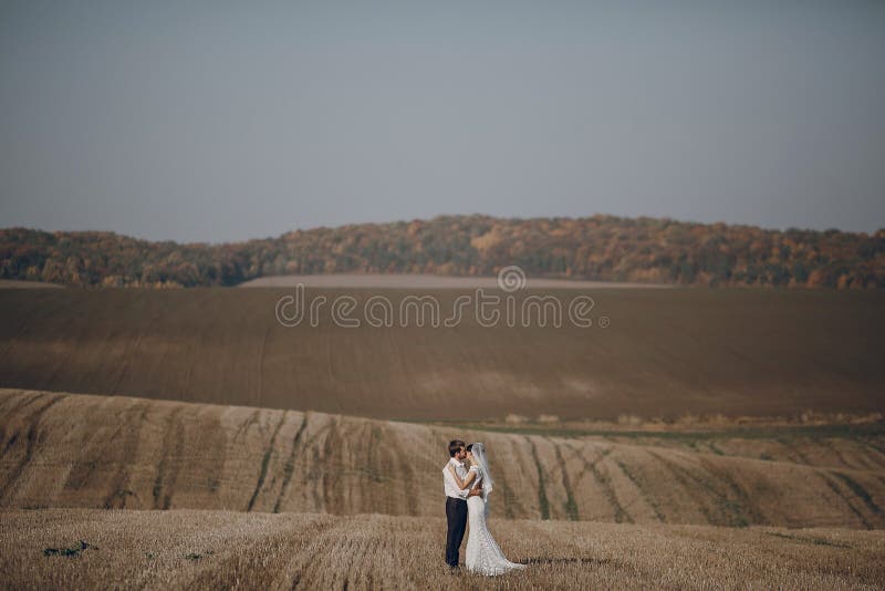 Happy Wedding Couple in a Field Stock Photo - Image of people, golden ...