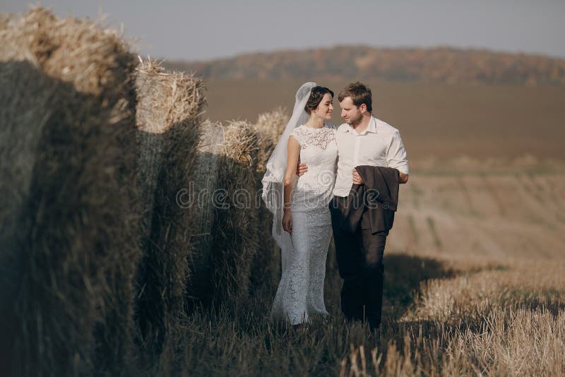 Happy Wedding Couple in a Field Stock Photo - Image of bridal, nature ...