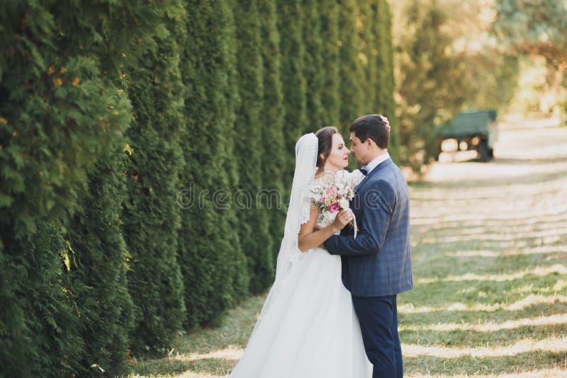 Happy Wedding Couple Walking in a Botanical Park Stock Photo - Image of ...