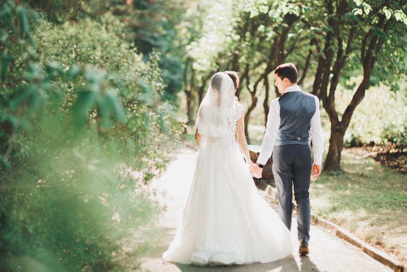 Happy Wedding Couple Walking in a Botanical Park Stock Photo - Image of ...