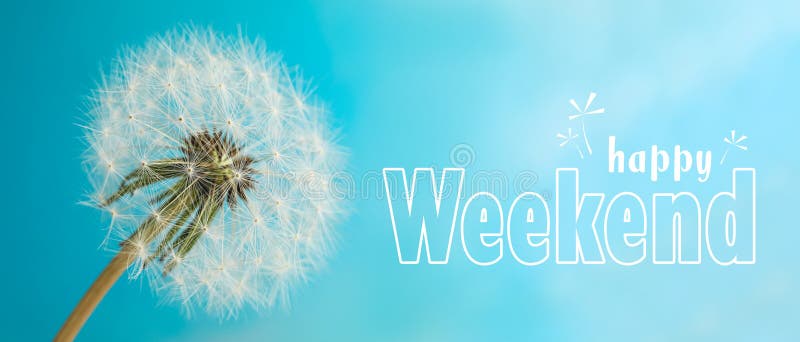 Happy Weekend. Beautiful Dandelion Flower on Light Blue Background ...