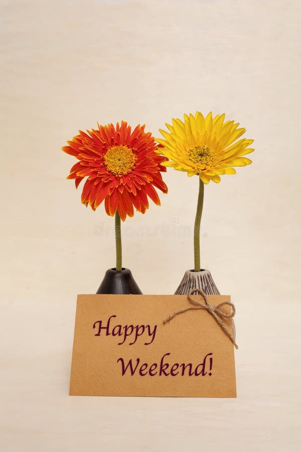 Happy Weekend Greeting Card with Fresh Plumeria Flower in Clear Glass ...