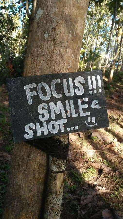 Happy wise words stock photo. Image of words, view, tree - 357634584