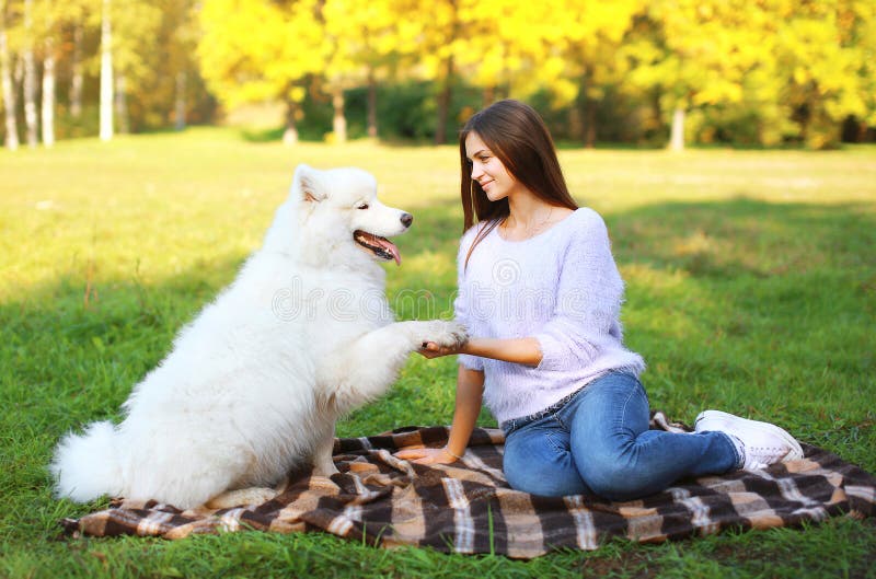 Happy Woman and Dog Resting in the Park Stock Photo - Image of funny ...