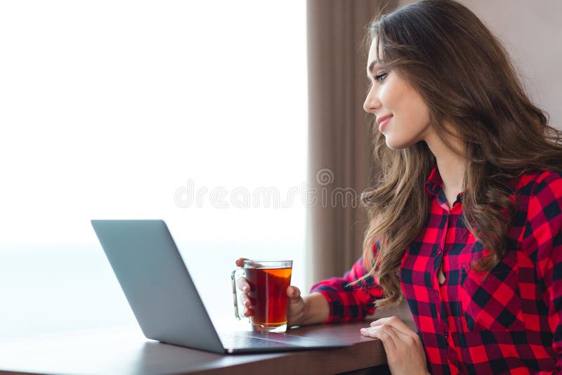 Happy Woman Using Laptop Computer Stock Photo - Image of person, female ...